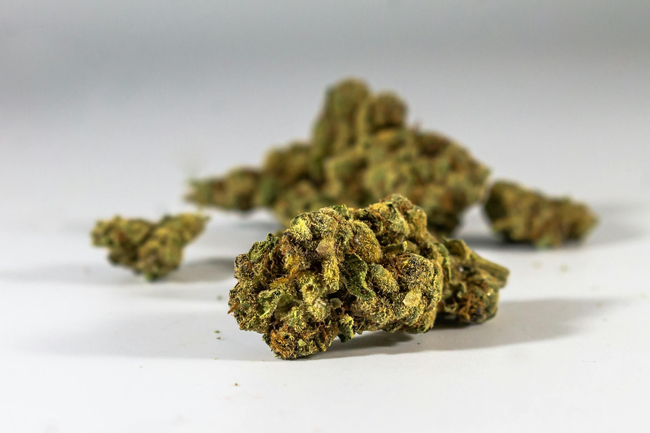 Premium THCA Flower – Sacred Infusion